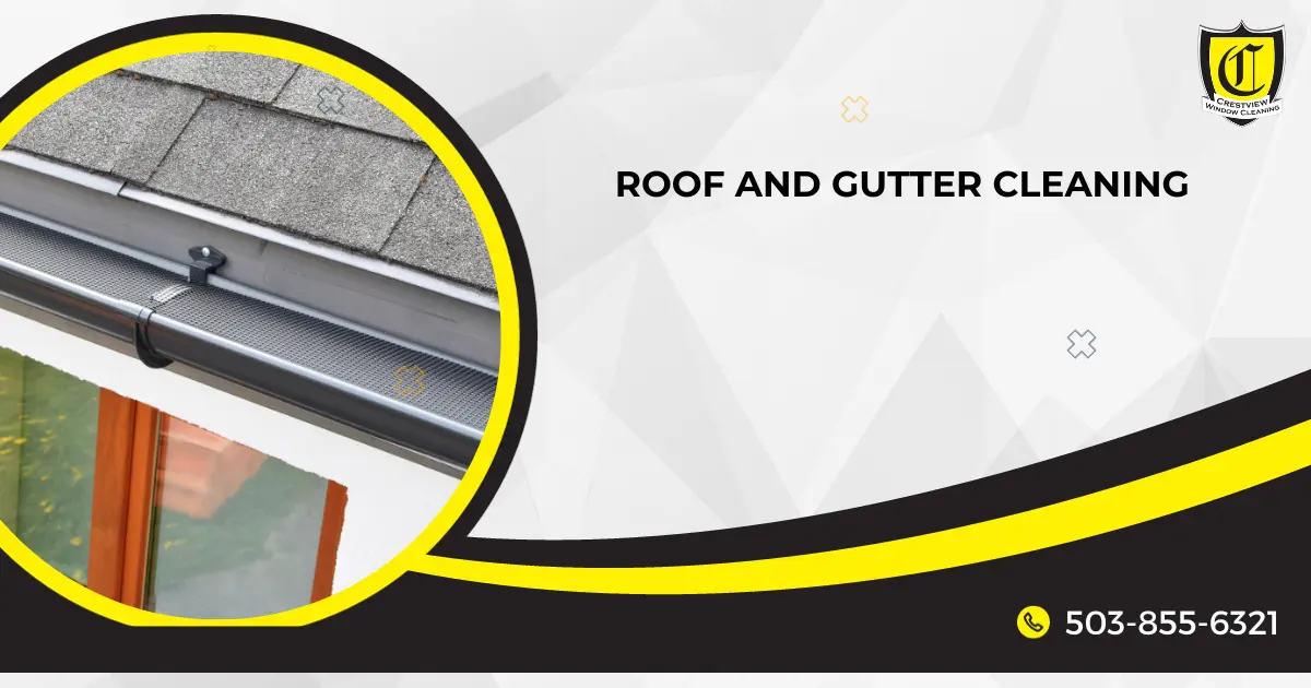 Roof And Gutter Cleaning: DIY Vs. Professional Services