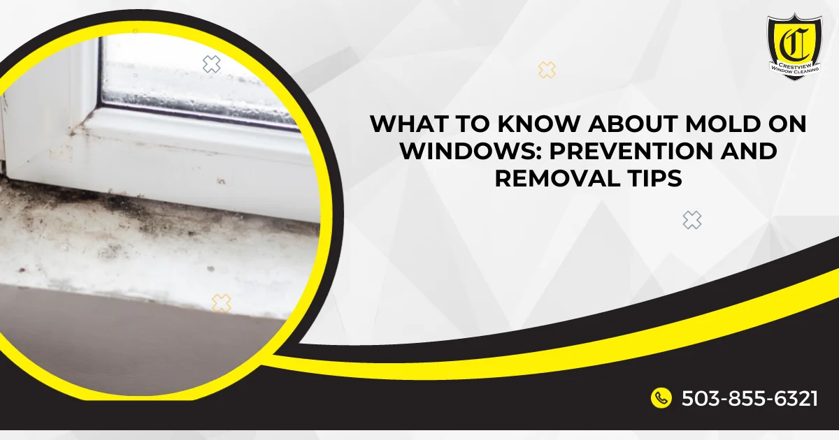 What to Know About Mold on Window Cleaning: Prevention and Removal Tips ...