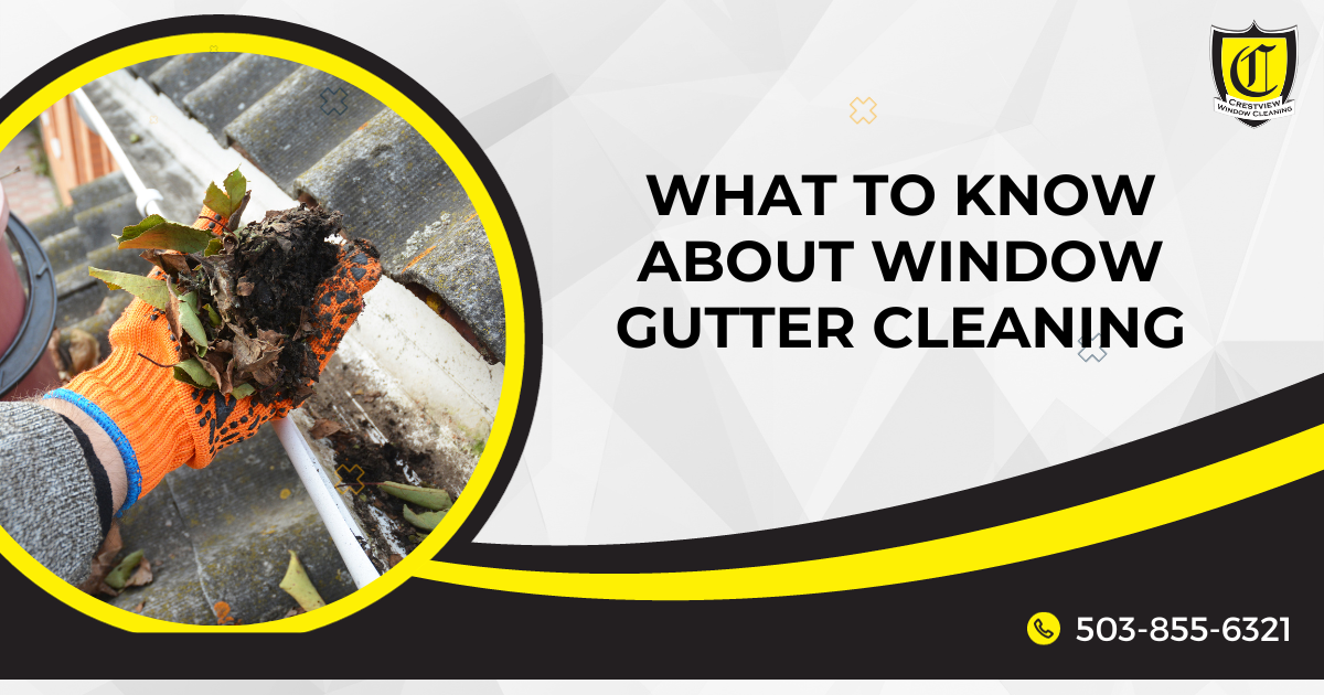 Window Gutter Cleaning: What Every Homeowner Should Know